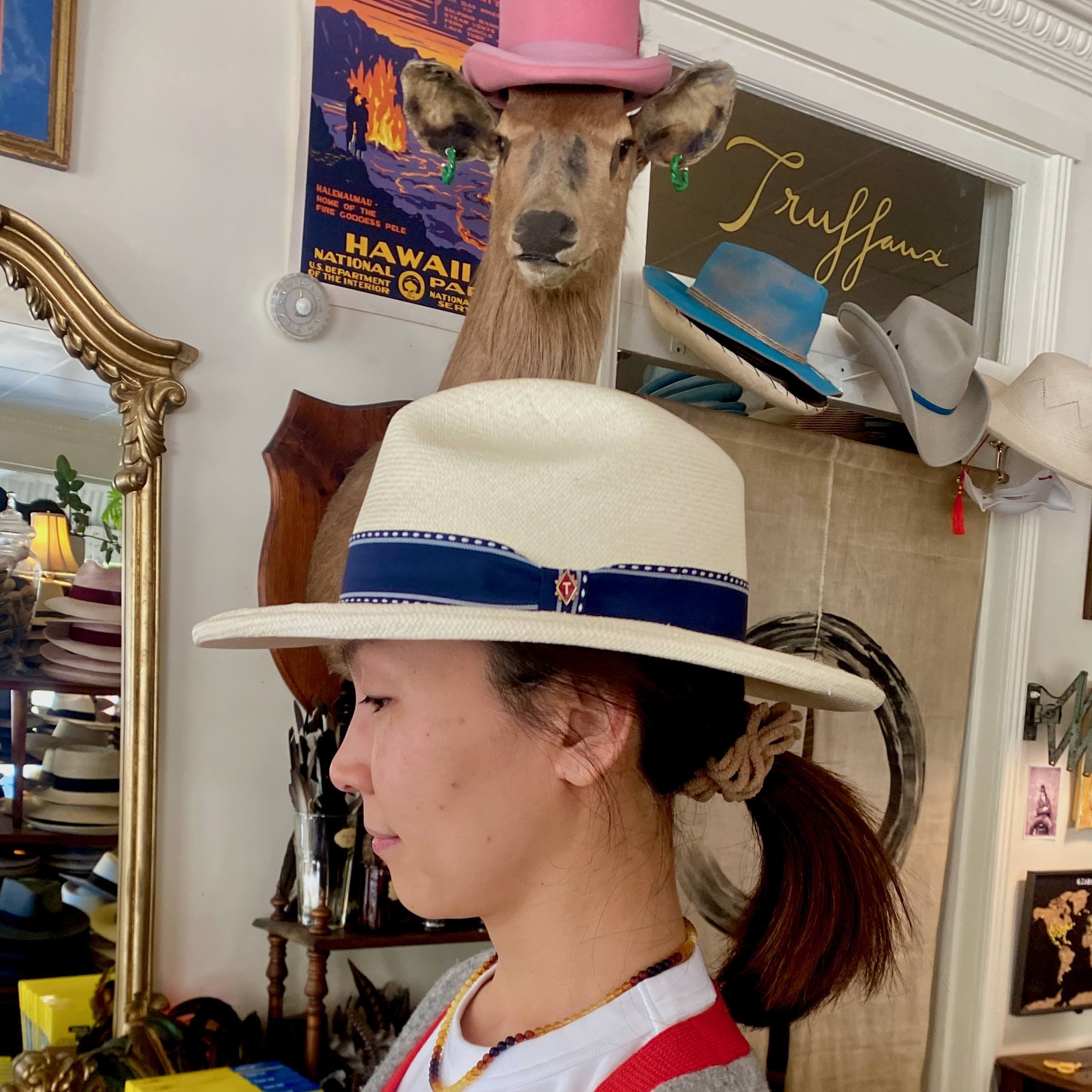 The Fino New Yorker